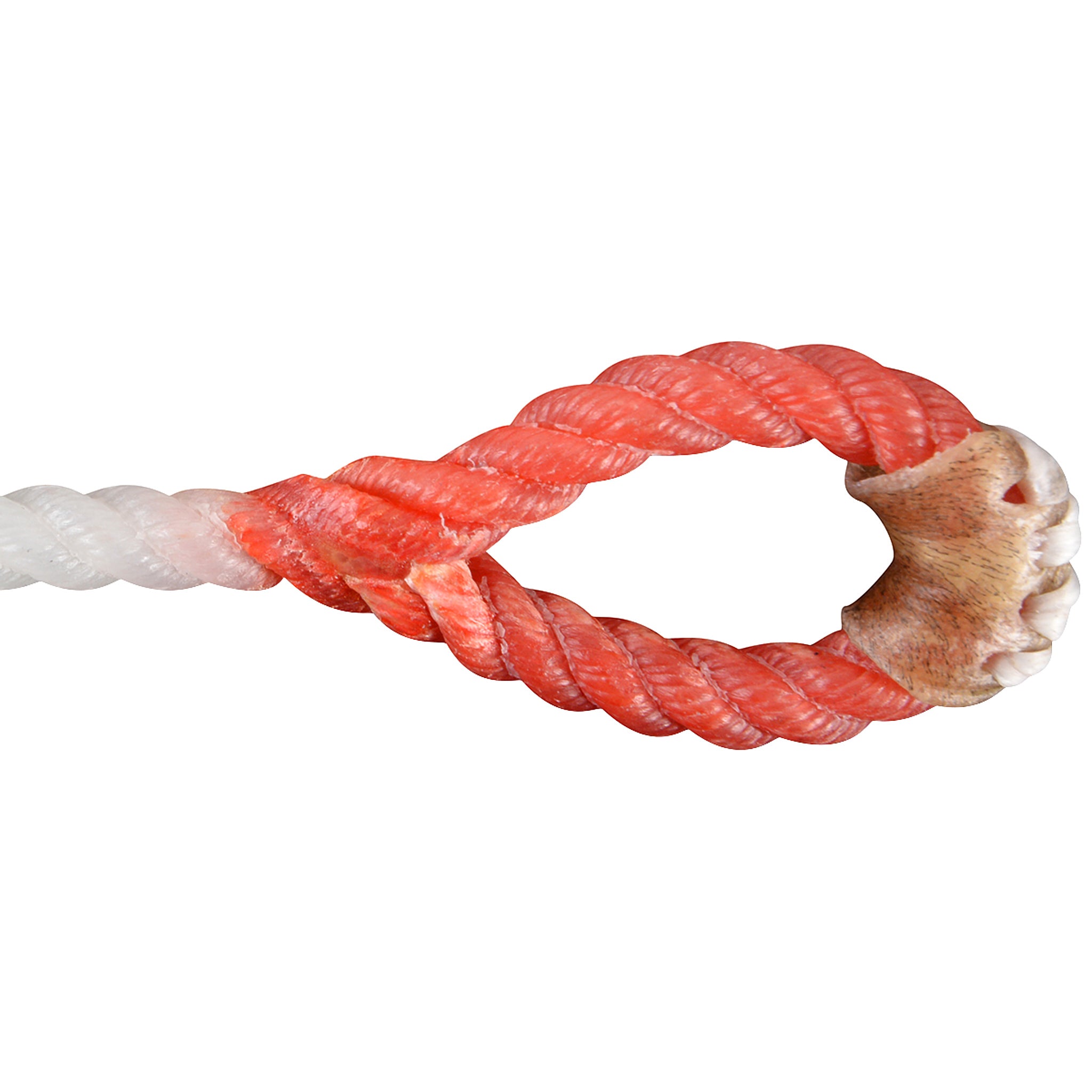 Rattler Ropes White Racer Piggin String | Rods